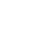 CFHLA Board of Directors - The Central Florida Hotel & Lodging Association